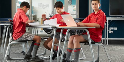 Waikato University Bodyfurn Study. - Furnware